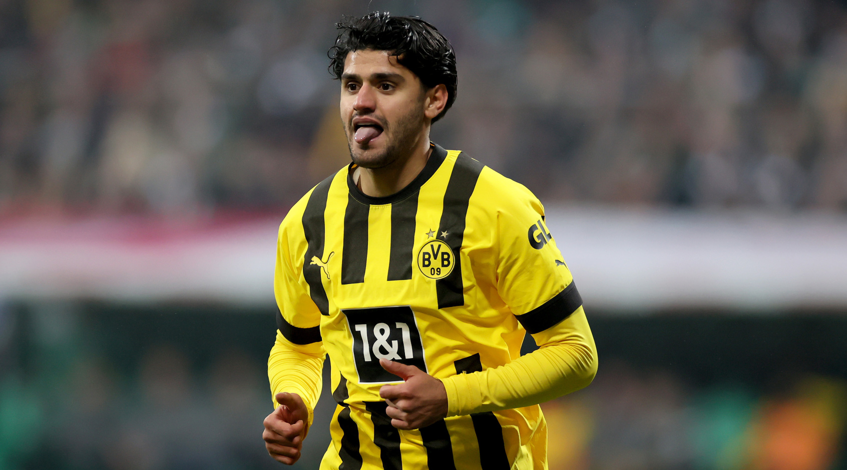 Махмуд Дауд может стать игроком "Брайтона"